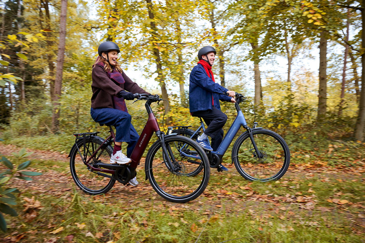 Batavus Finez